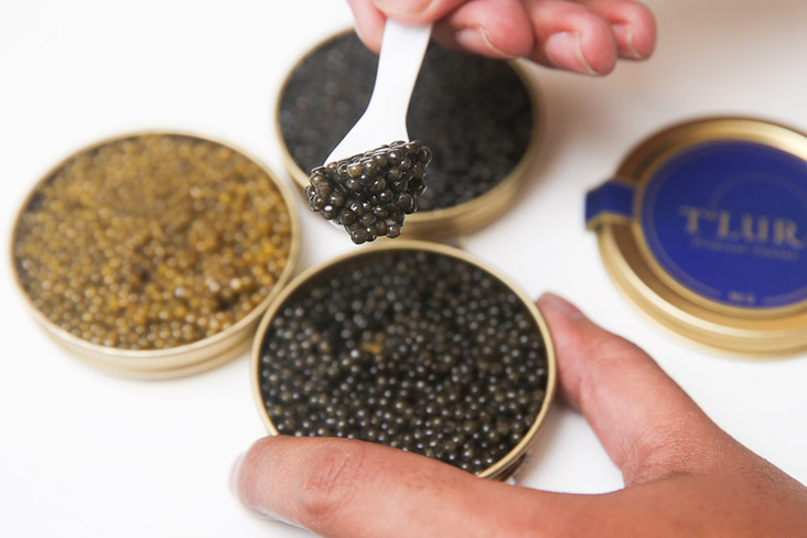 Malaysia is producing caviar? – ASEAN Digest