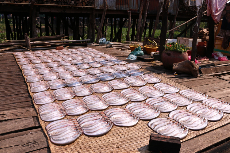Smoking fish: Cambodian struggle to preserve an ancient practice ...