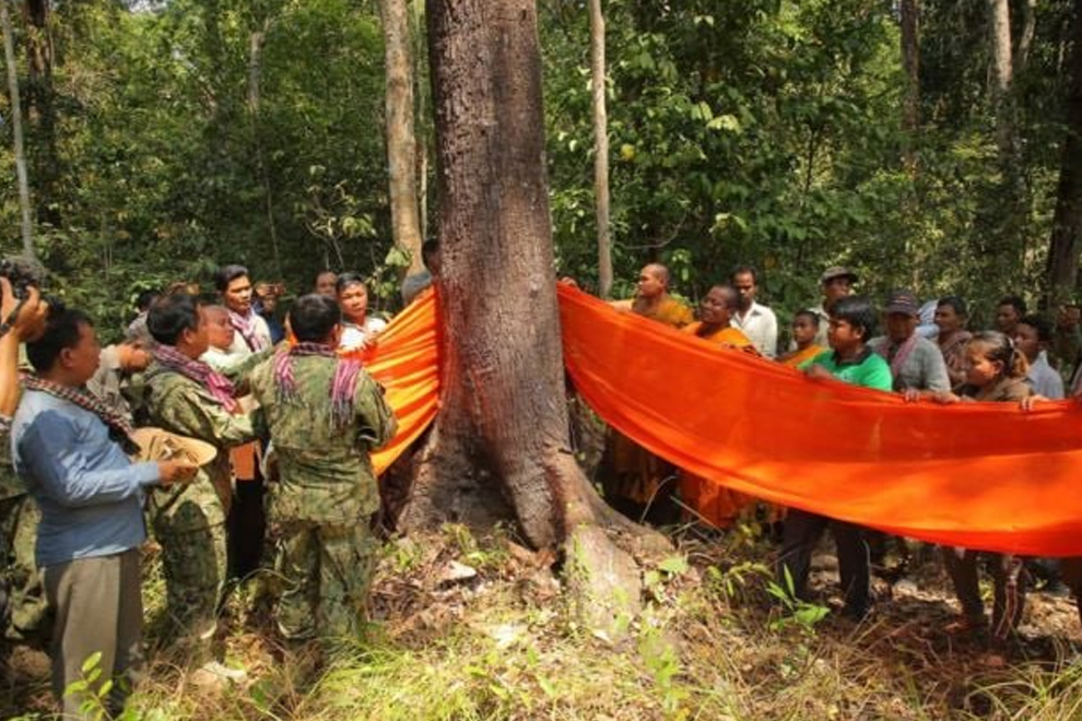 Cambodia Kuoy ethnic group honouring forest with Bonn Prey Lang ...